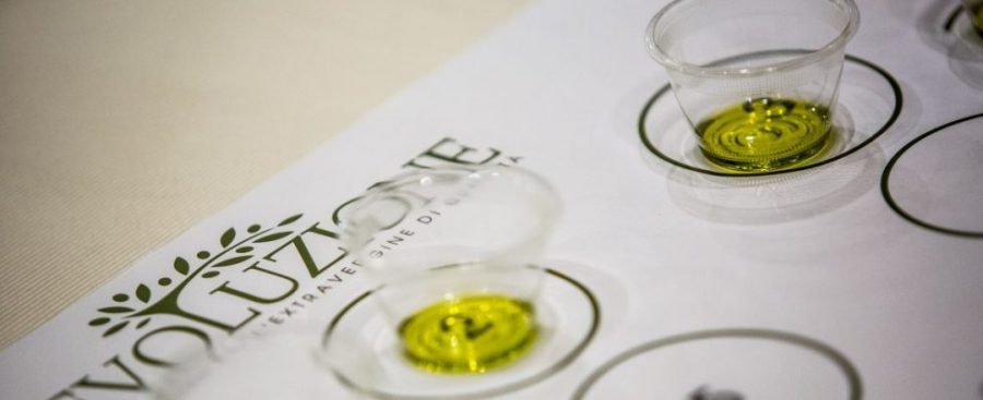 Evoluzione 2020 – paths for quality extra virgin olive oil – Elaisian